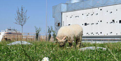 Werk3, Munich – robatherm in the middle of an urban roof idyll ...