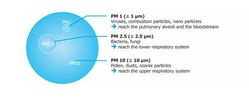 Air Filter Standard - robatherm EN